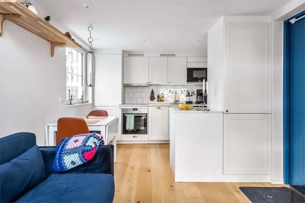 A Traditional Mini House of 33 sq.m Well Organized (with the house plan ...