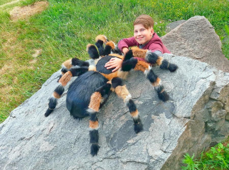 The Ultimate Giant Tarantula Spider Pillow: Your Go-To Prank or Napping ...