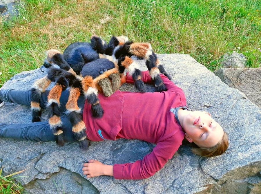 The Ultimate Giant Tarantula Spider Pillow: Your Go-To Prank or Napping ...