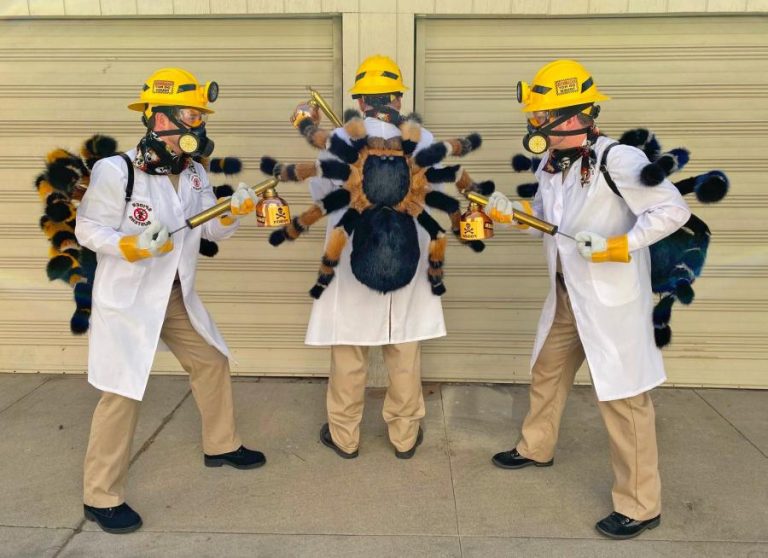 The Ultimate Giant Tarantula Spider Pillow: Your Go-To Prank or Napping ...