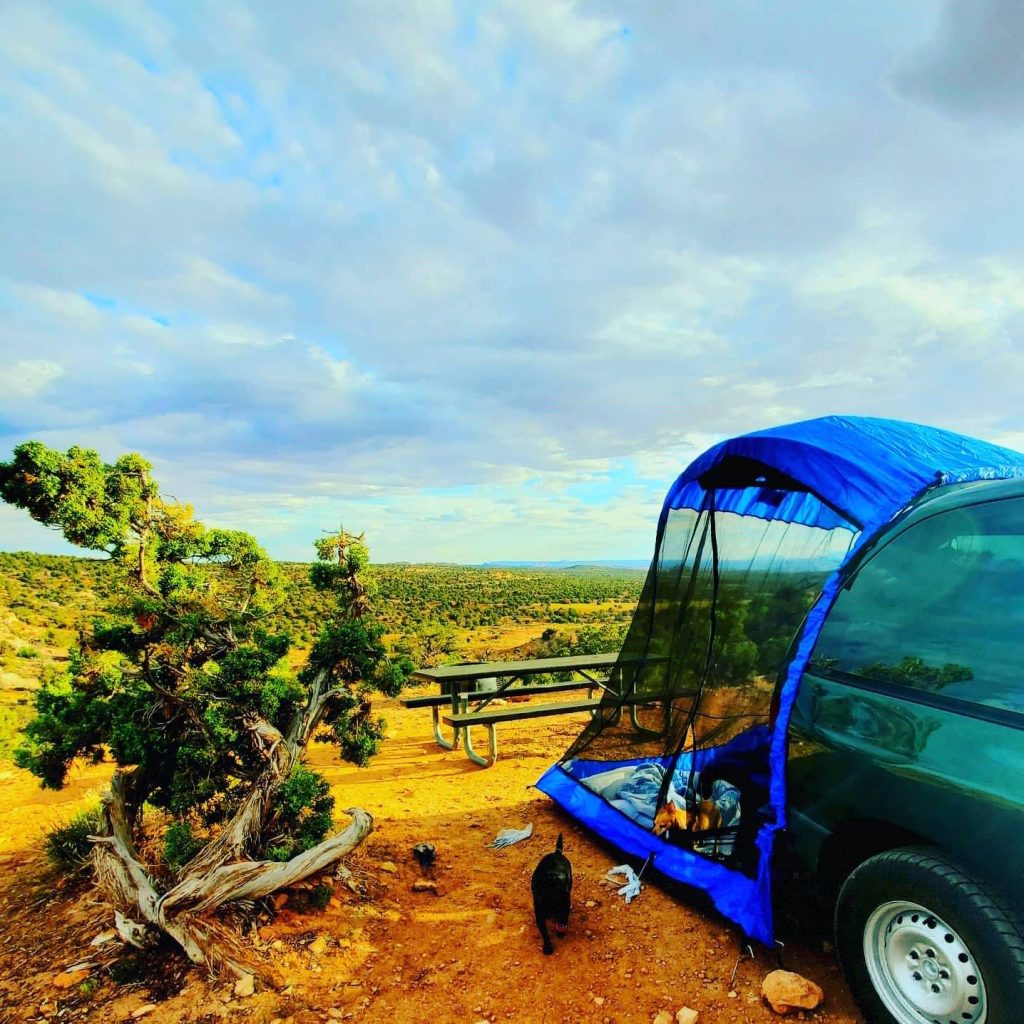 TailVeil: Elevate Your Tailgating Experience with This Innovative SUV ...