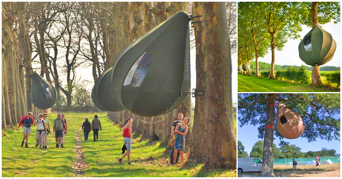 Sleeping Amongst the Trees: Discover the Enchanting Raindrop-Shaped ...