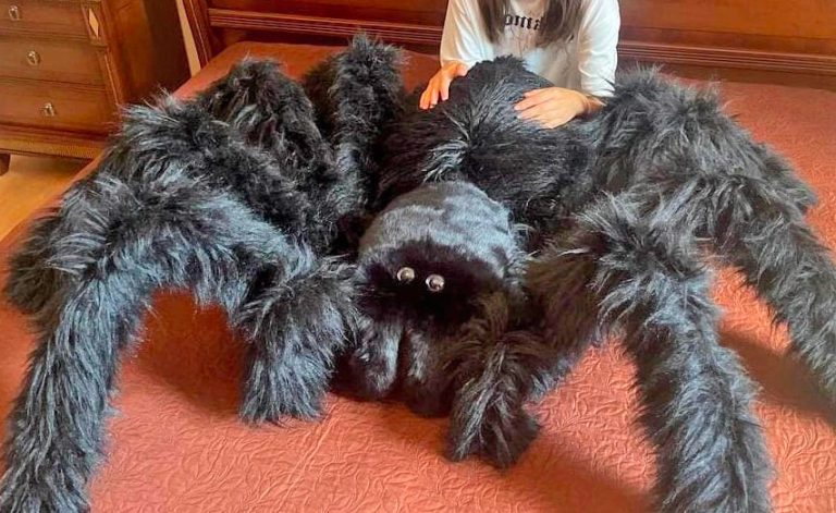 The Ultimate Giant Tarantula Spider Pillow: Your Go-To Prank or Napping ...