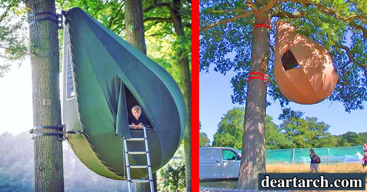 Sleeping Amongst the Trees: Discover the Enchanting Raindrop-Shaped ...