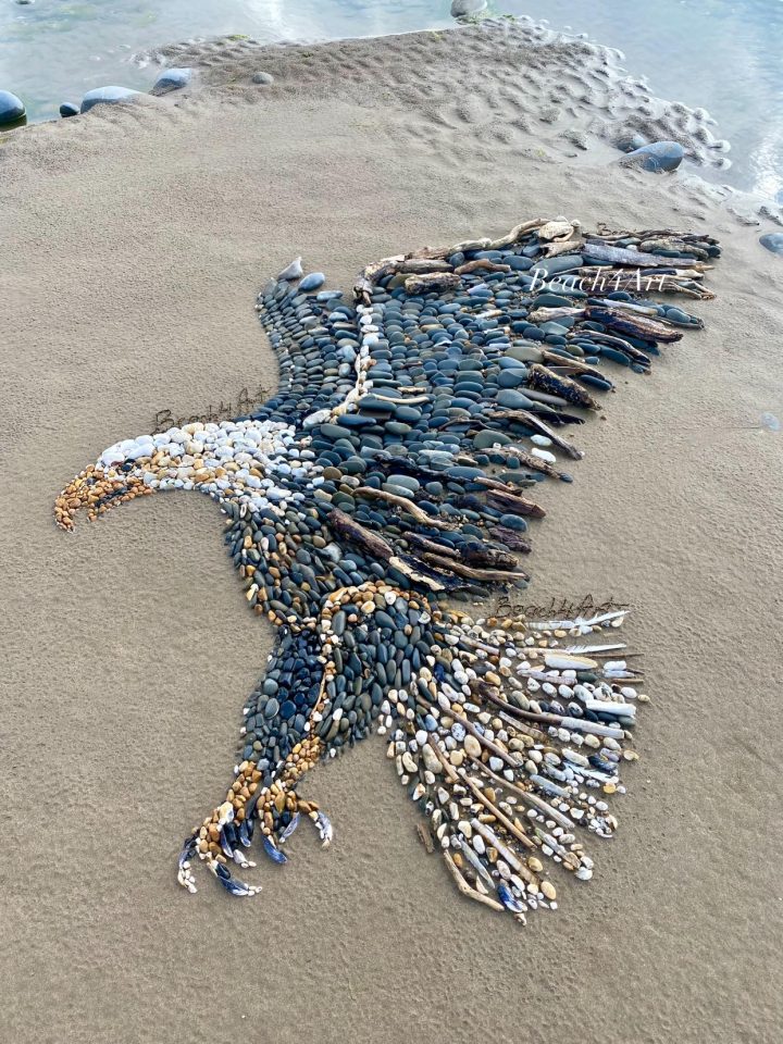 From Shores to Art: The Inspirational Tale of a Devon Family's ...