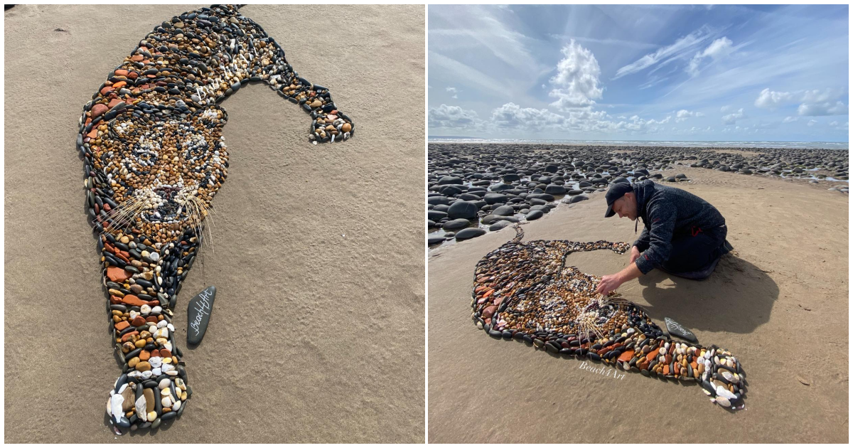 From Shores to Art: The Inspirational Tale of a Devon Family's ...